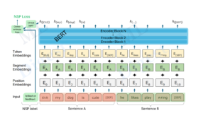 BERT Explained: A Simple Guide » ML Digest
